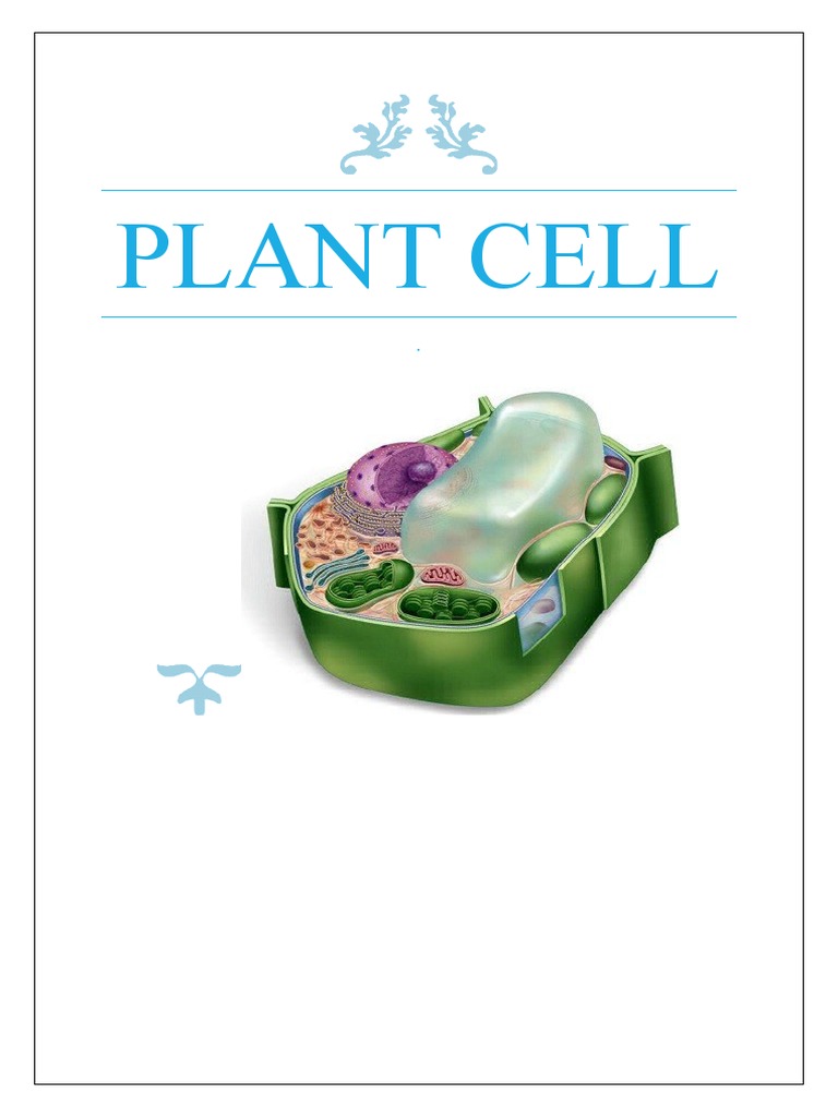 Plant Cell Biology | PDF | Cell (Biology) | Tissue (Biology)