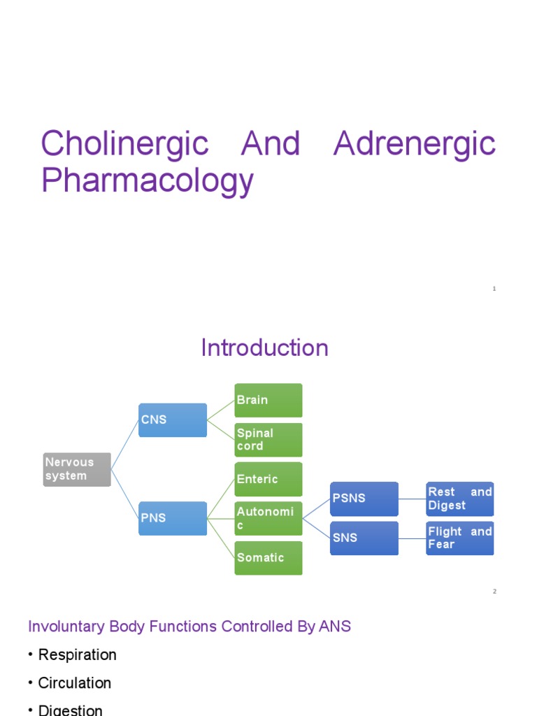 Cholinergic and Adrenergic Pharmacology | PDF | Acetylcholine | Physiology