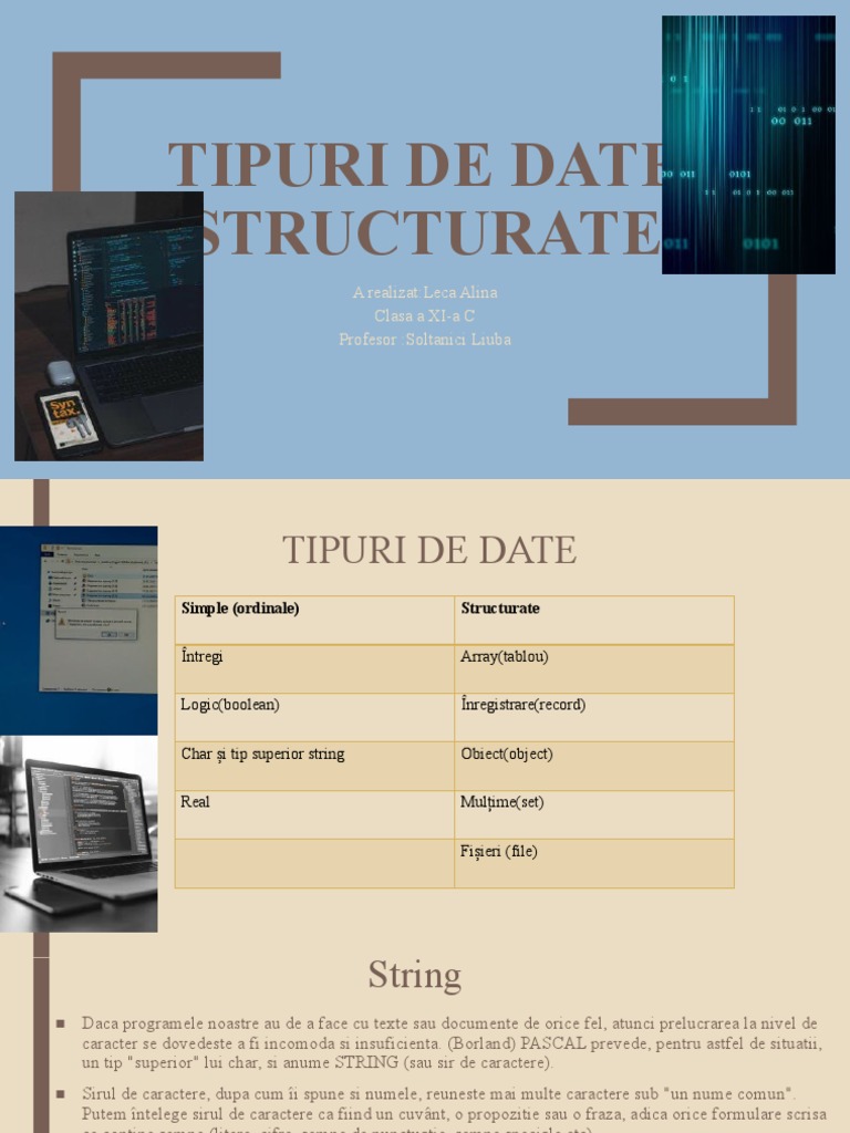 Tipuri de Date Structurate | PDF