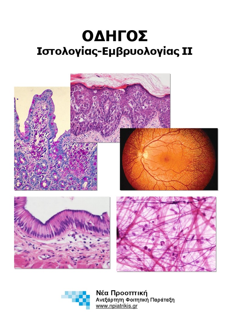Ιστολογία Εμβρυολογία ΙΙ | PDF