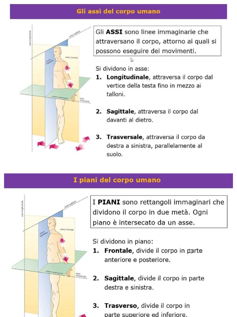 Piani E Assi Del Corpo Umano Pdf