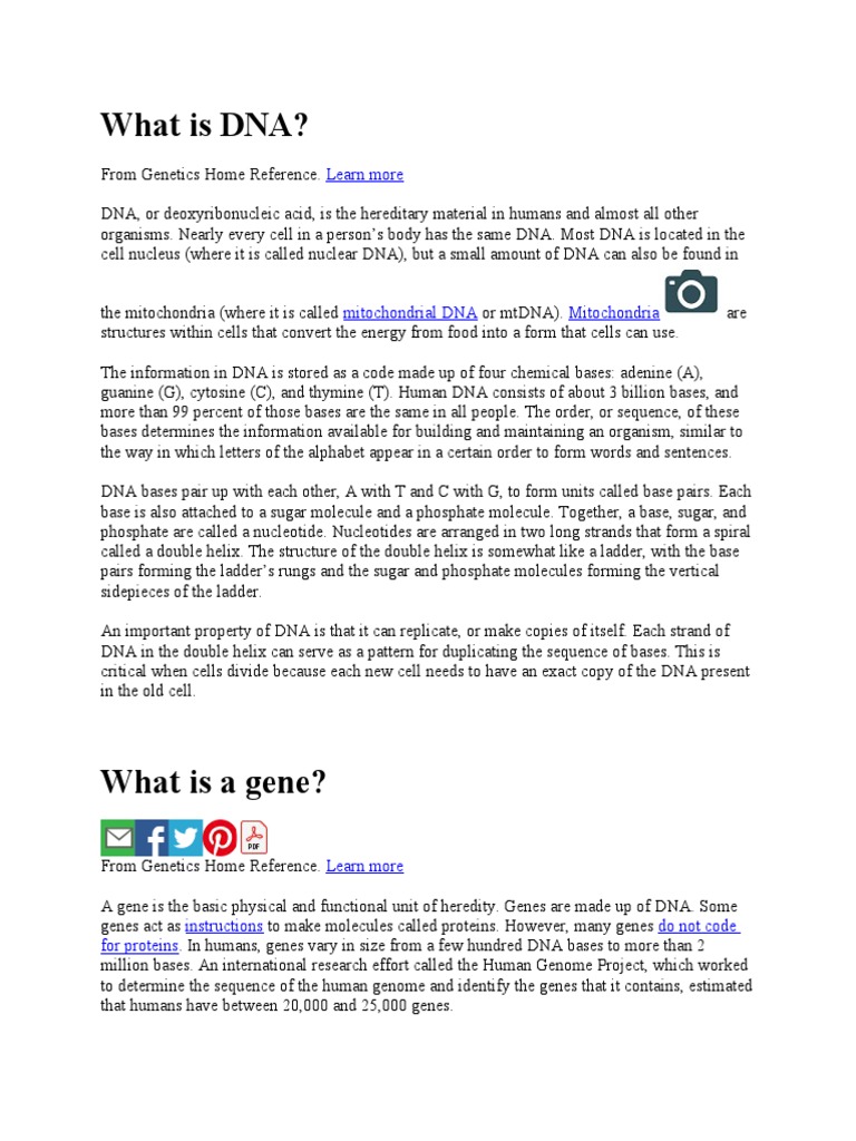 Understanding Genes and DNA Basics | PDF | Gene | Dna