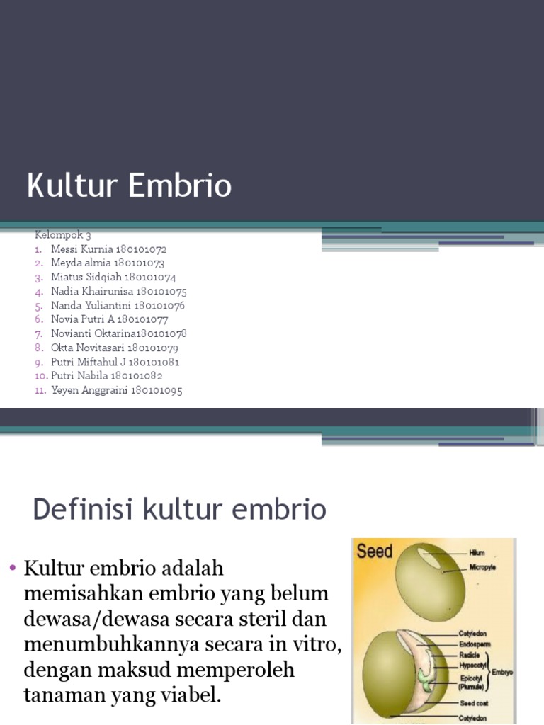 Definisi dan Teknik Kultur Embrio | PDF