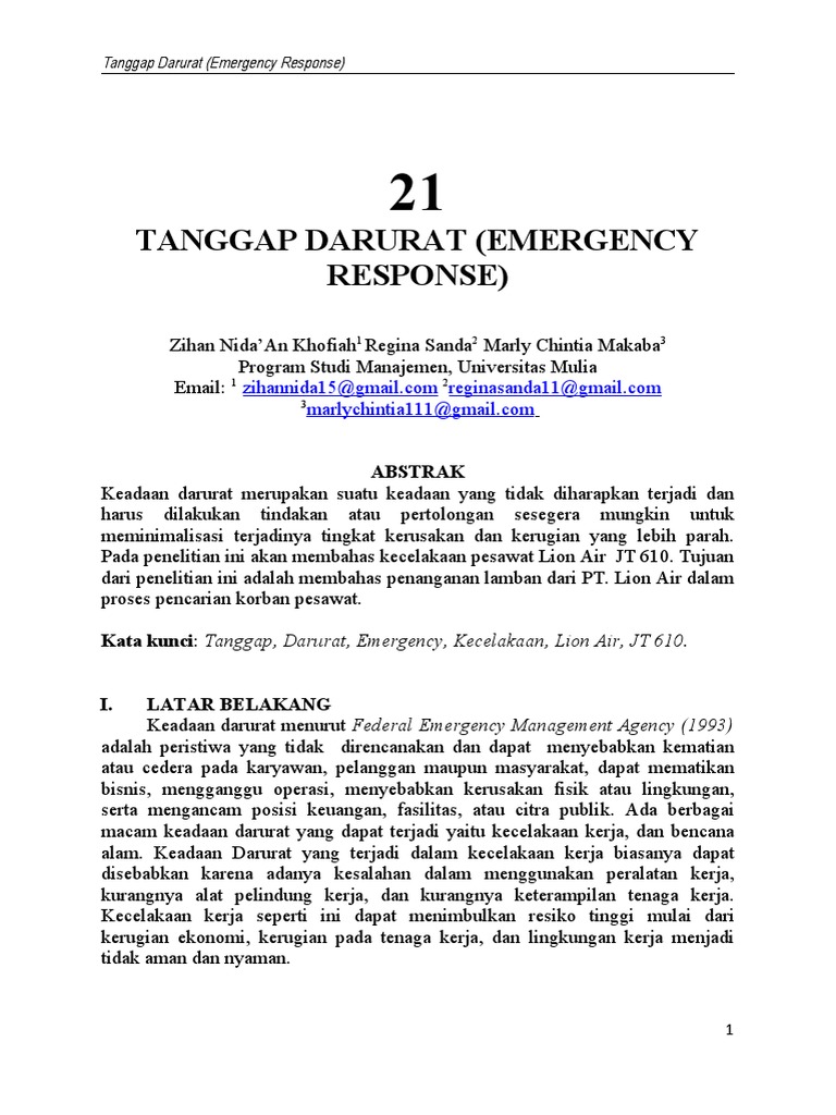 Penanganan Lamban Lion Air JT 610 | PDF