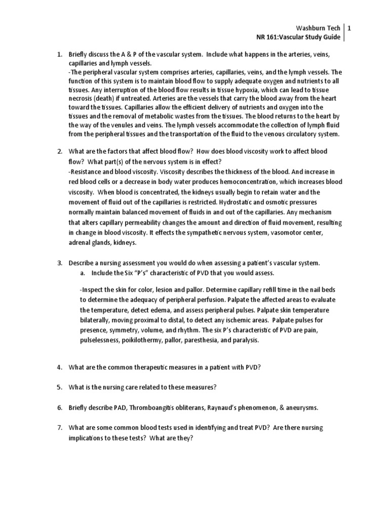 Vascular Study Guide | PDF | Circulatory System | Blood Vessel