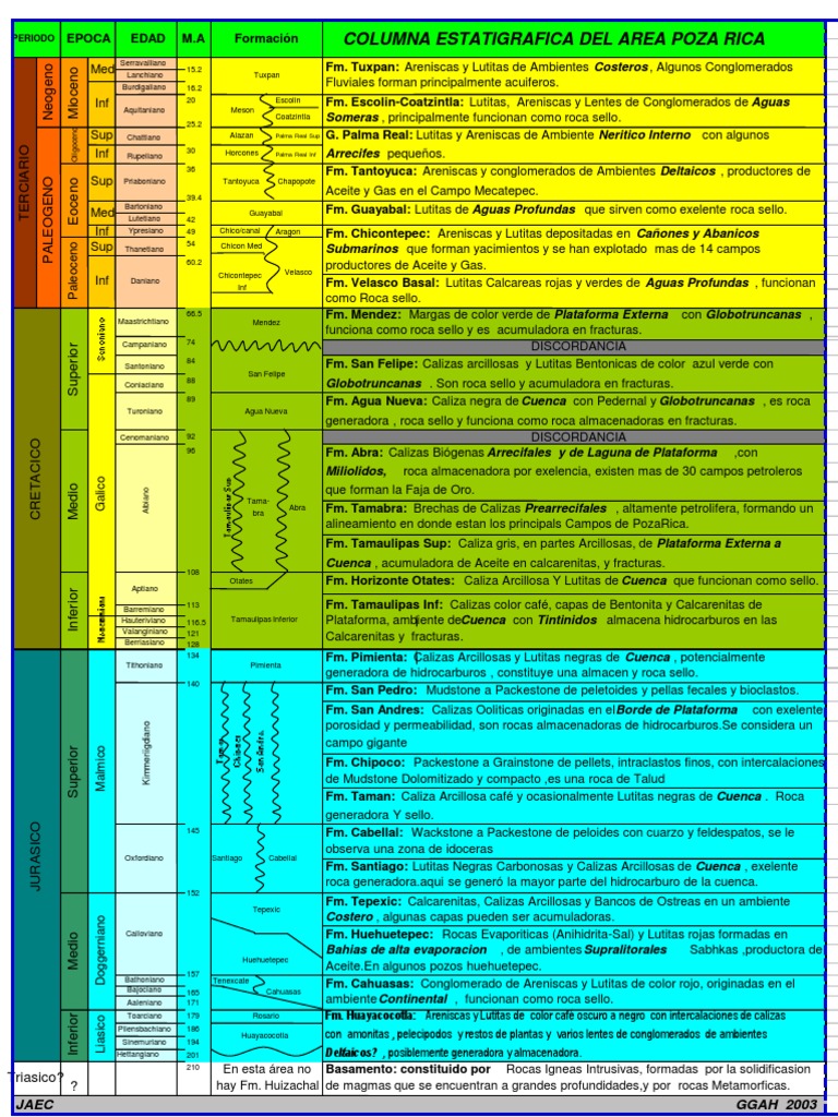 Columna Tipo Area Poza Rica | PDF | Roca (geología) | Geología