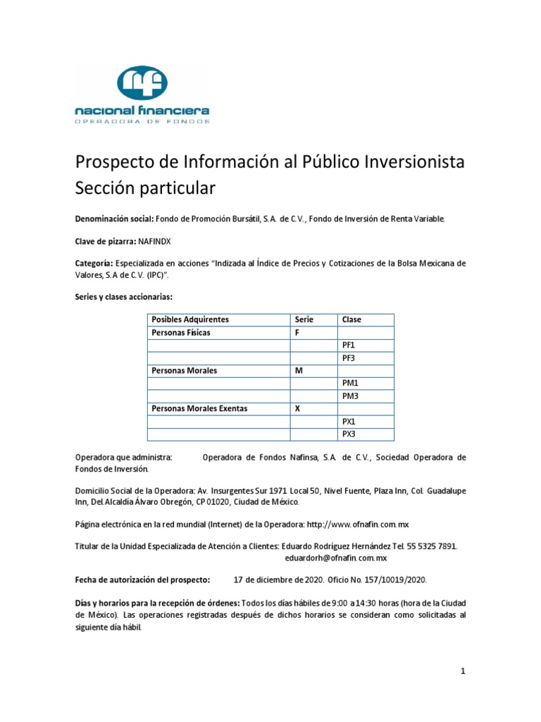 Prospecto Conceptos | PDF | Valor en riesgo | Compartir (Finanzas)