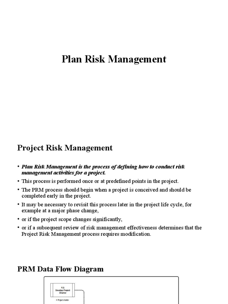Chapter 02 Plan Risk Management | PDF