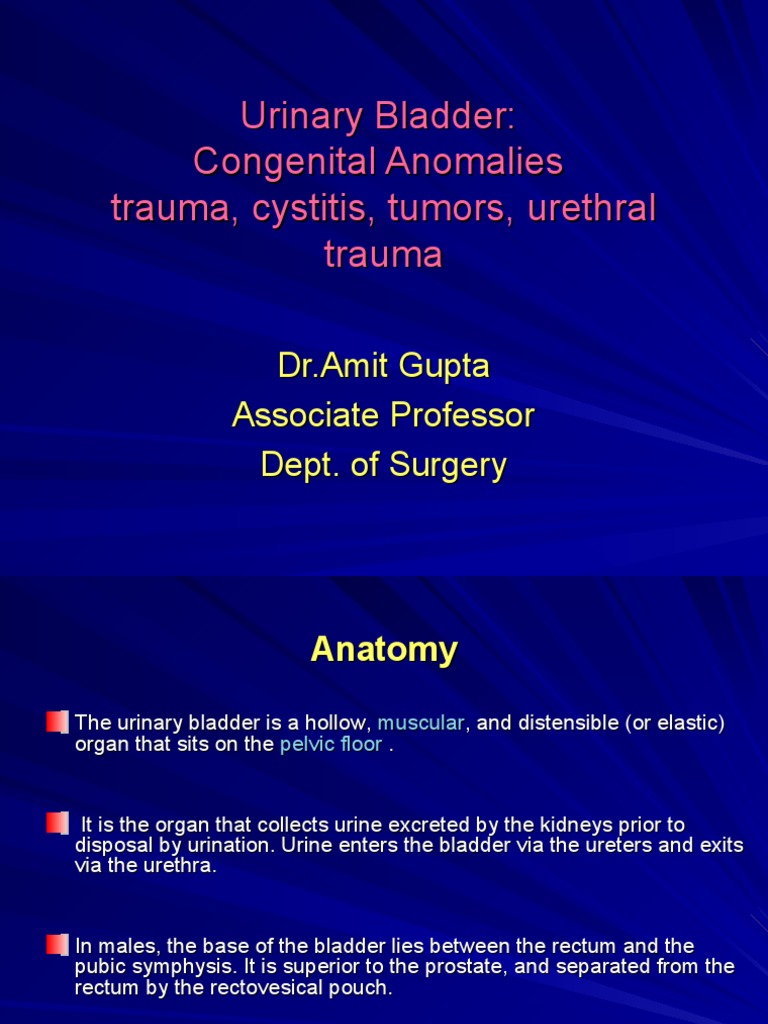 Congenital Anomalies of Urinary Bladder | PDF | Urinary Bladder ...