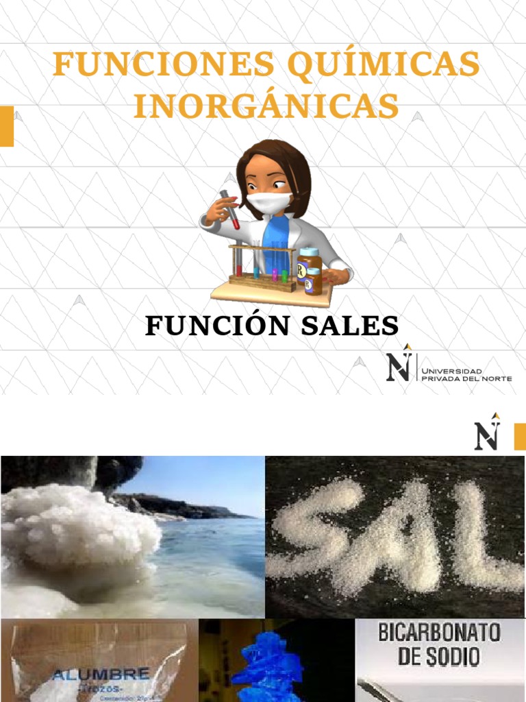 Clase 6 - Función Sales | PDF | Sal (química) | Ácido