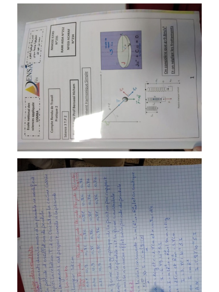 TP Mecanique de Point Pendule | PDF
