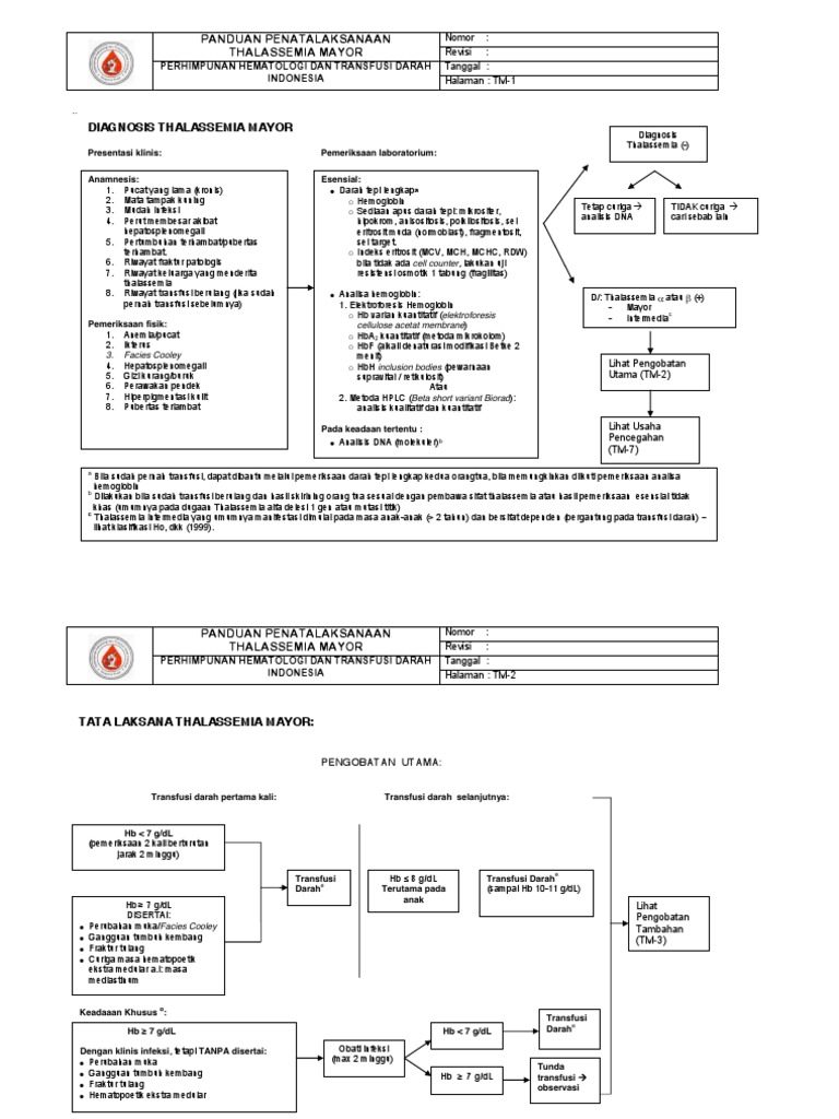 PHTDI - Guidelines Thalassemia | PDF
