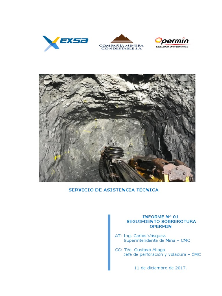 Informe OPERMIN | PDF | Perforar