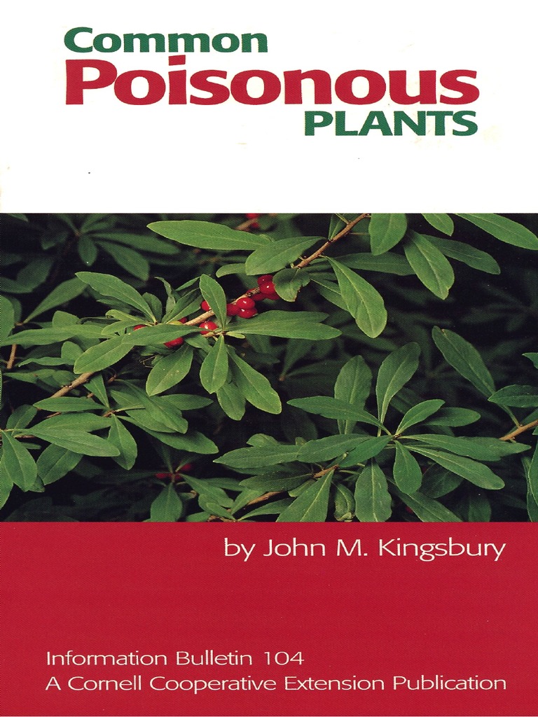 Common Poisonous Plants | PDF