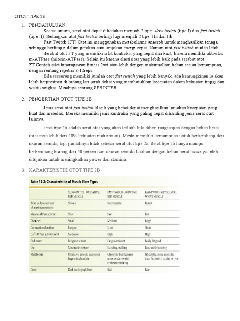 Otot Tipe 2B | PDF