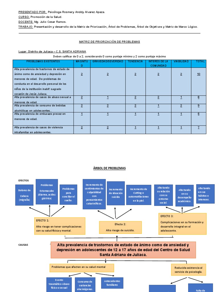 Matriz de Priorizacion de Problemas Rosmery Anddy Alvarez Apaza Diciembre | PDF | Salud mental ...