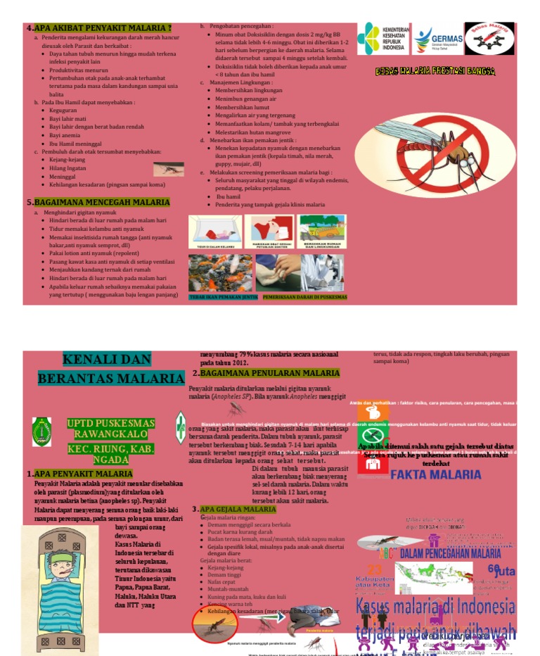 Leaflet Malaria Febri | PDF