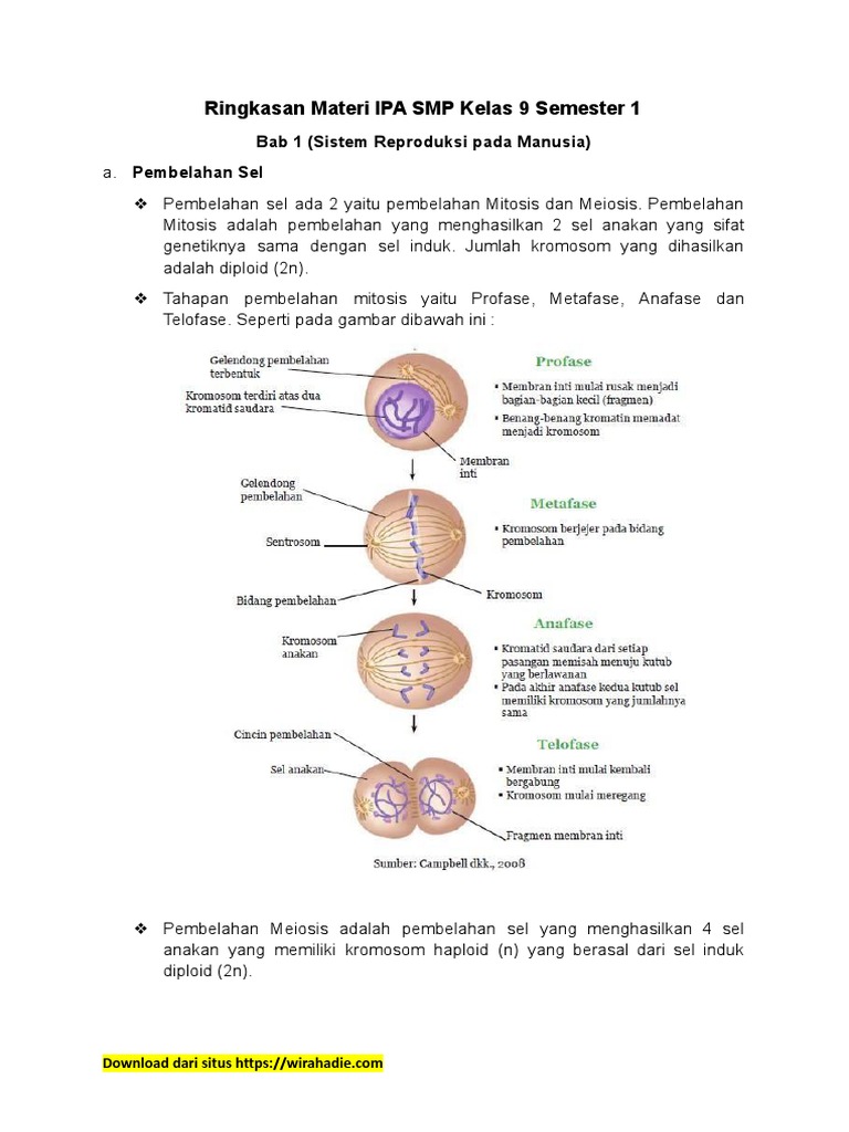 Sistem Reproduksi (Pembelahan Sel) | PDF
