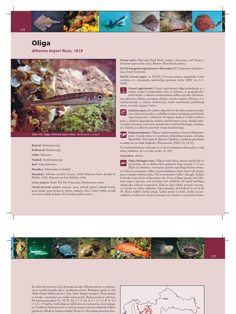 Crvena Knjiga Morskih Riba-Oliga | PDF