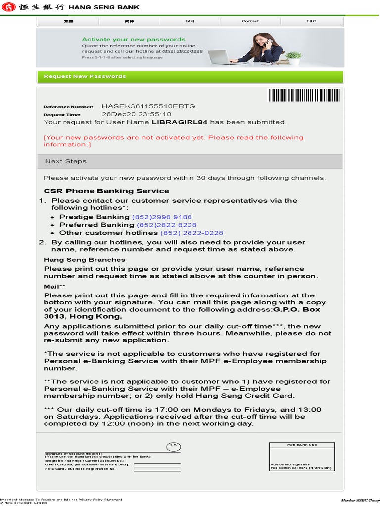 Rice Bsns Plan | PDF