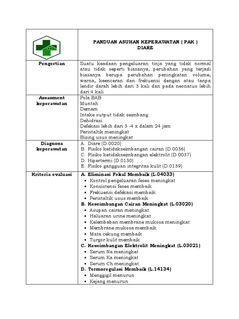 Panduan Asuhan Keperawatan 1 | PDF