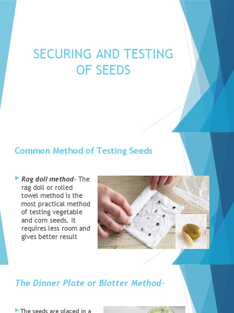 Securing and Testing of Seeds | PDF | Grafting | Seed