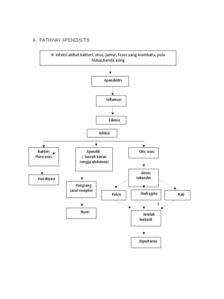 Pathway Apendisitis | PDF