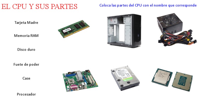 EL CPU Y SUS PARTES Actividad | PDF
