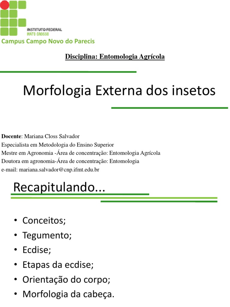 Morfologia Externa de Insetos: Peças Bucais e Ecdise | PDF | Insetos | Boca