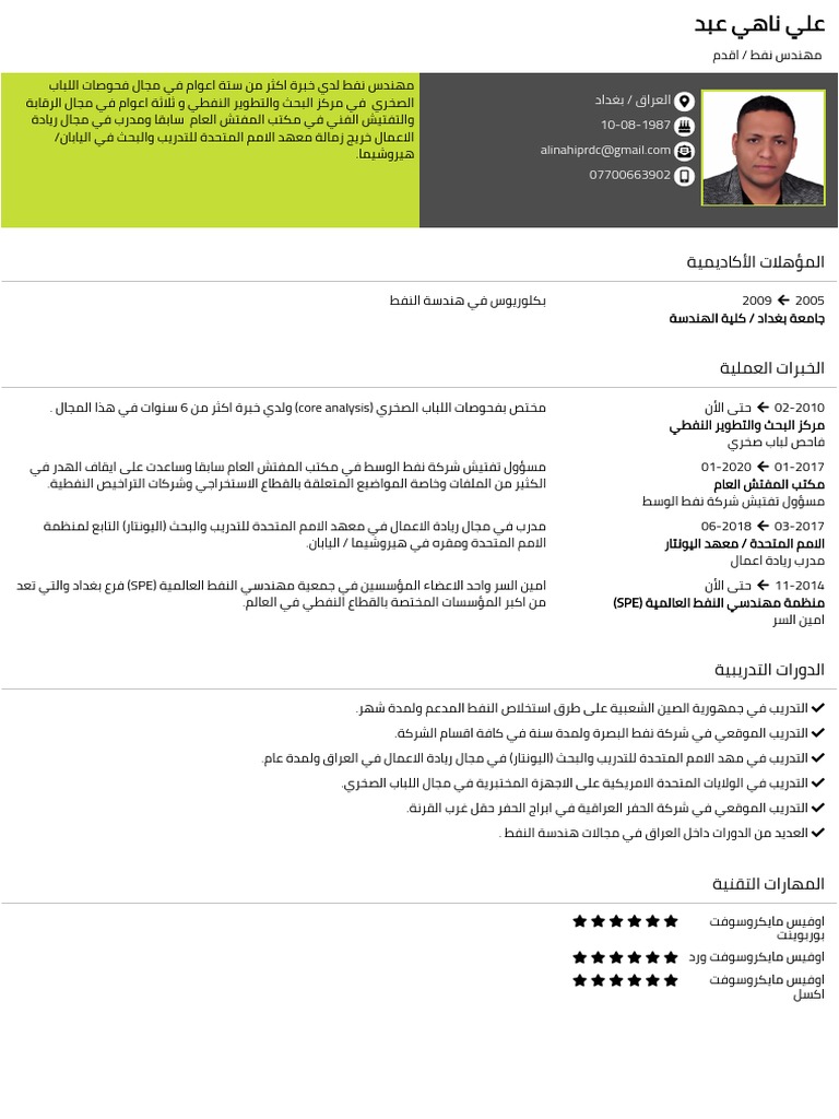CV Arabic 2 | PDF