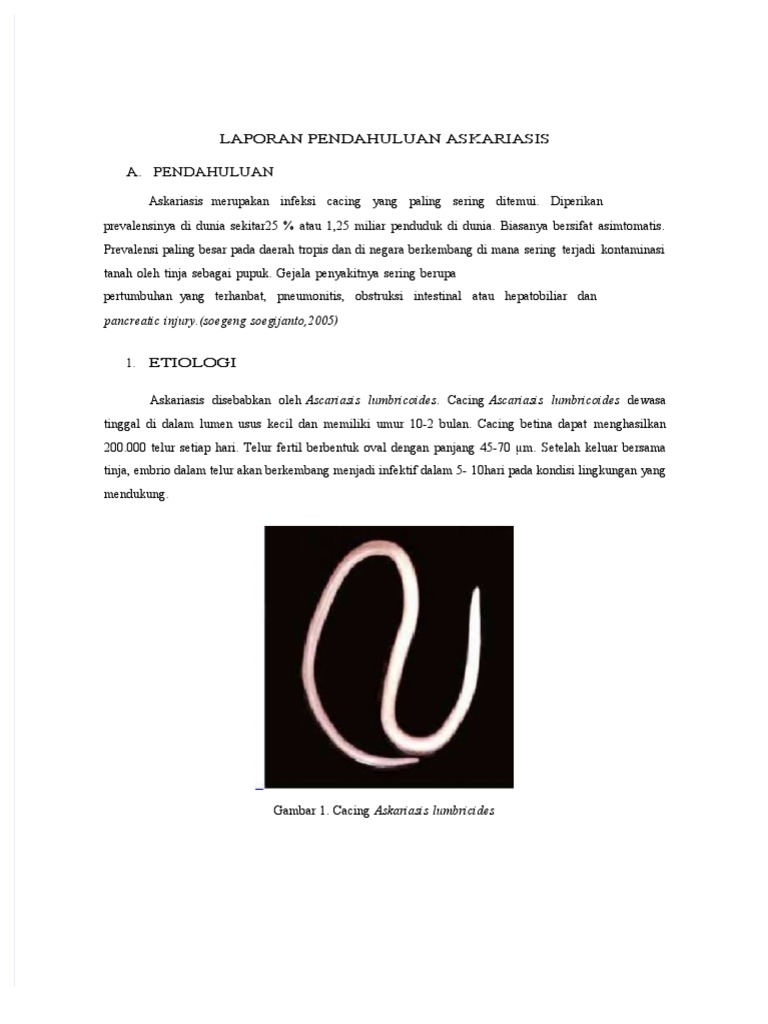 Denifajarjanuar - LP Askariasis | PDF | Sains & Matematika