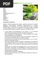 Beneficios y usos de la curarina | PDF | Diálisis | Riñón