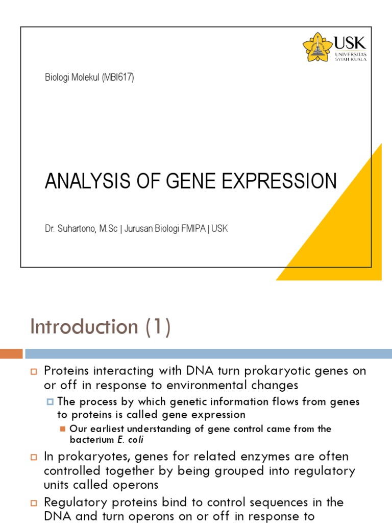 Analysis of Gene Expression | PDF | Gene Expression | Operon