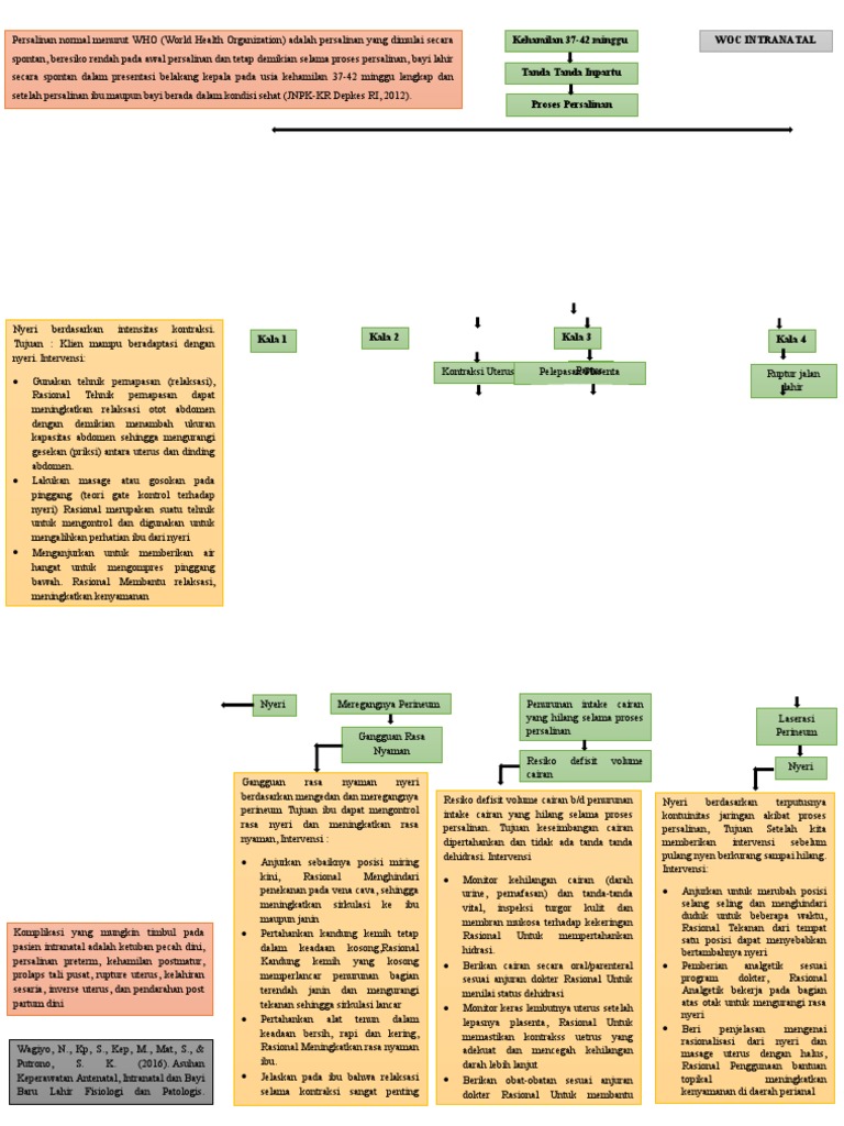 Woc Intranatal | PDF