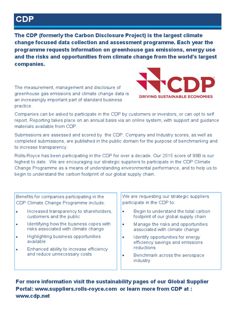 CDP | PDF