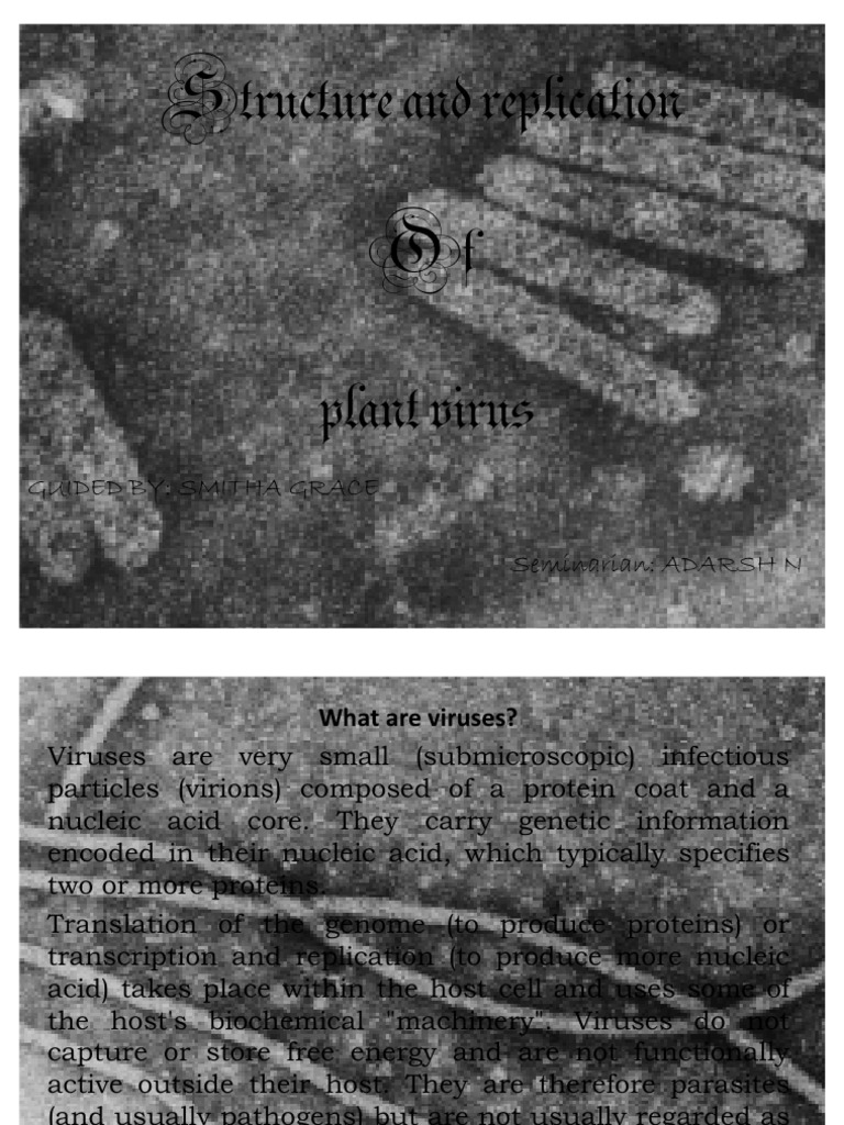 Plant Virus Replication and Structure | PDF | Plant Virus | Virus