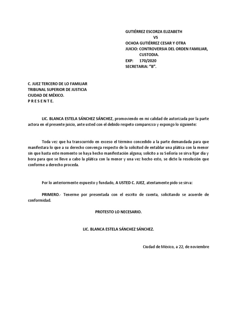 Solicitud Platica Menor Ely | PDF | Gobierno | Justicia