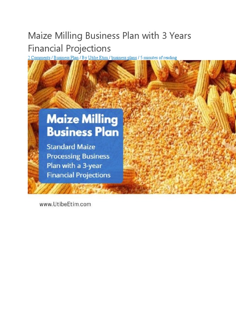 Maize Milling Business Plan With 3 Years Financial Projections | PDF ...