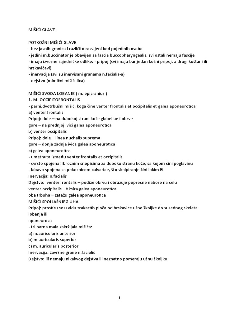 Skripte Iz Anatomije | PDF