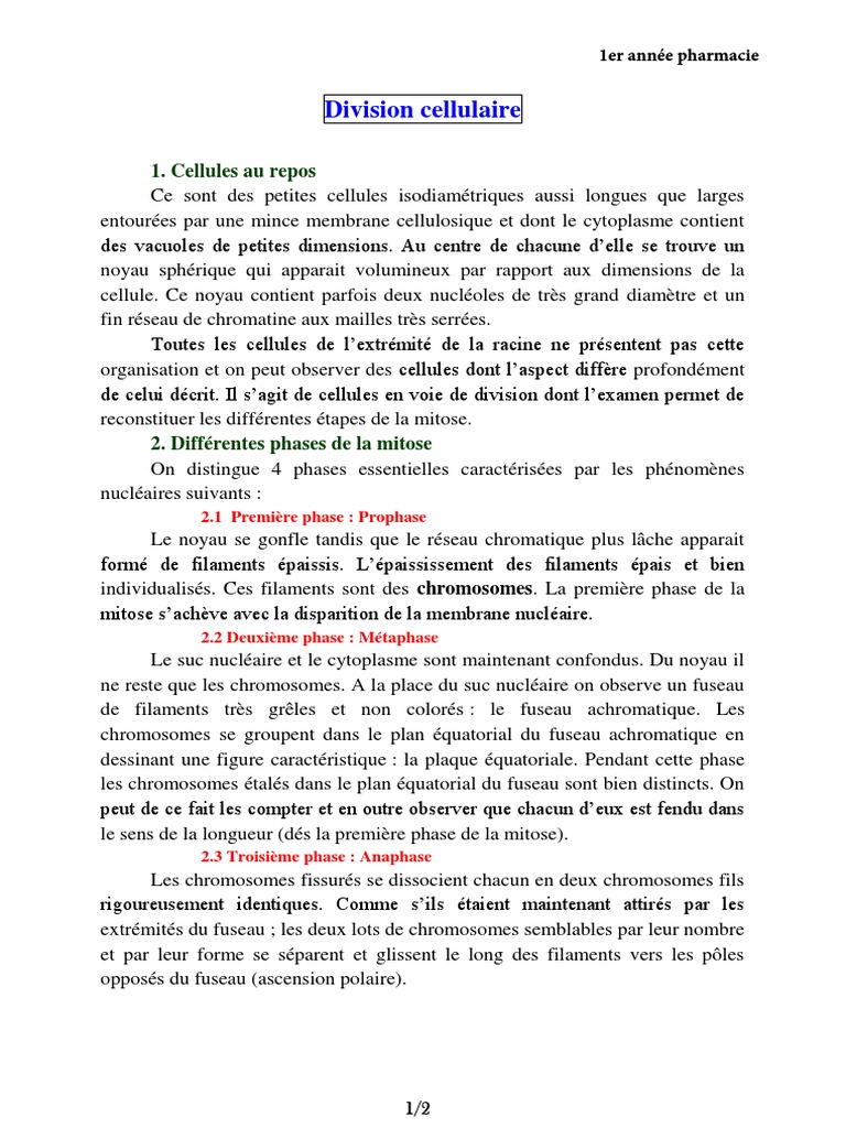 Phases de la division cellulaire | PDF | Mitose | Noyau (biologie)