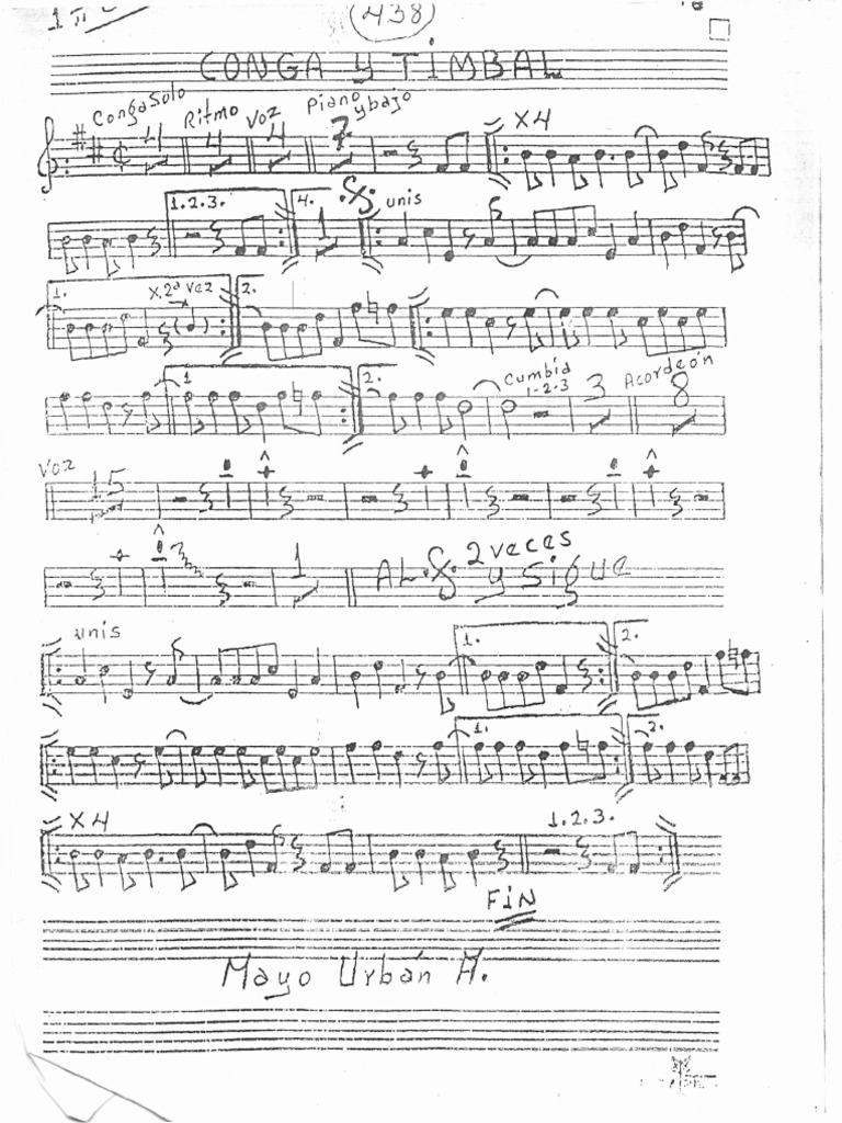 Conga y Timbal | PDF