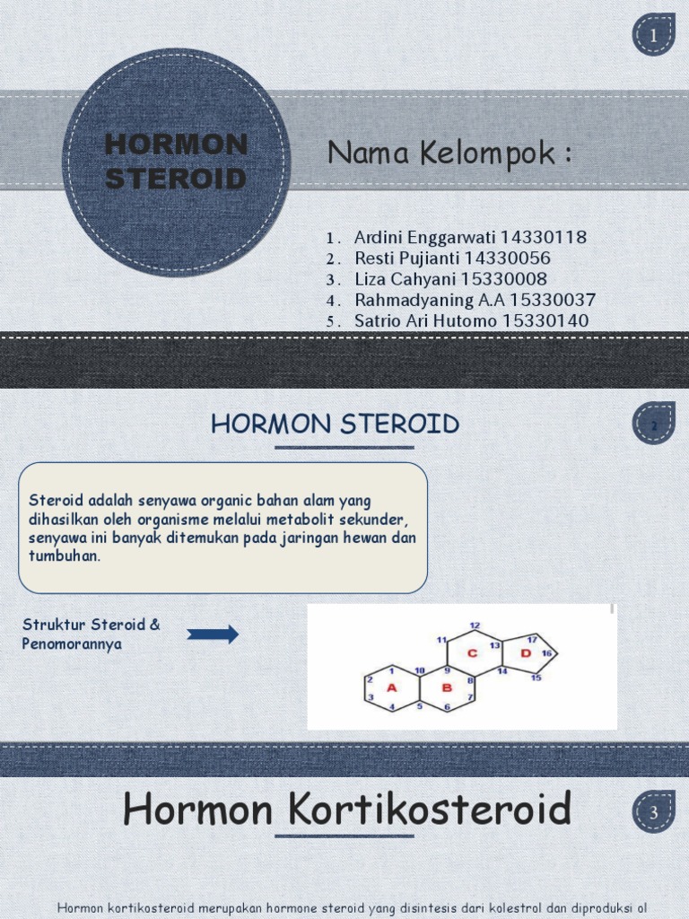 HORMON STEROID DAN FUNGSINYA | PDF