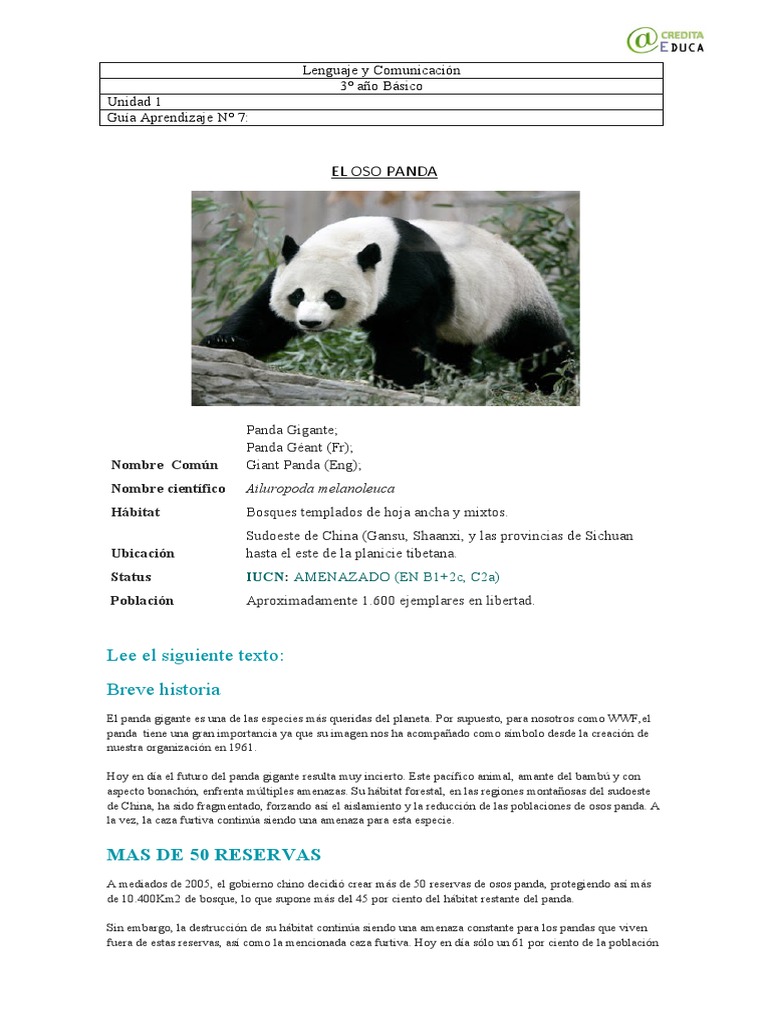 Lenguaje 3°básico G7 | PDF | Panda gigante | Osos