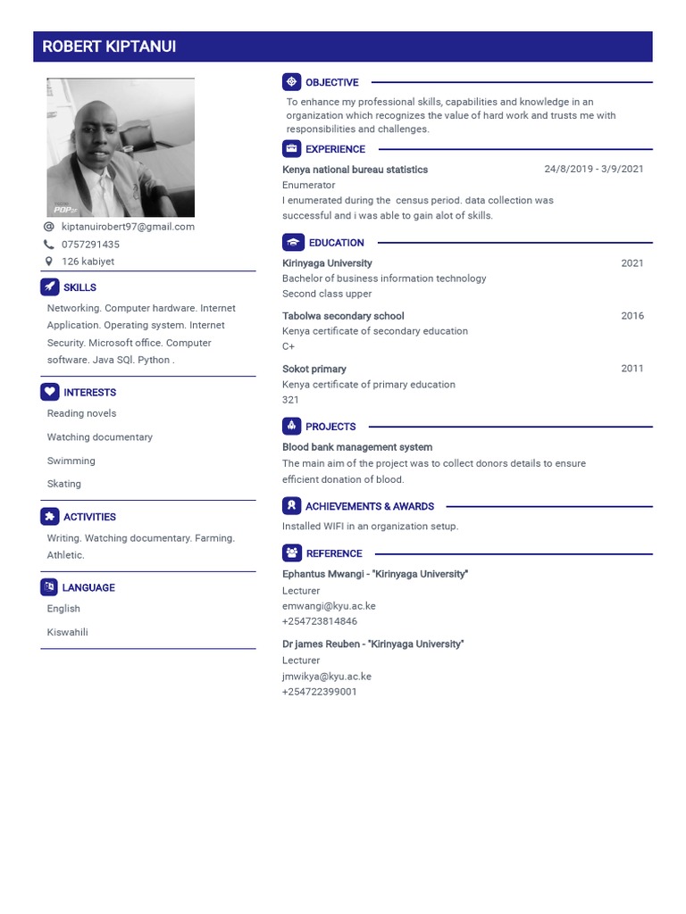 Robert CV | PDF | Computing | Software Development