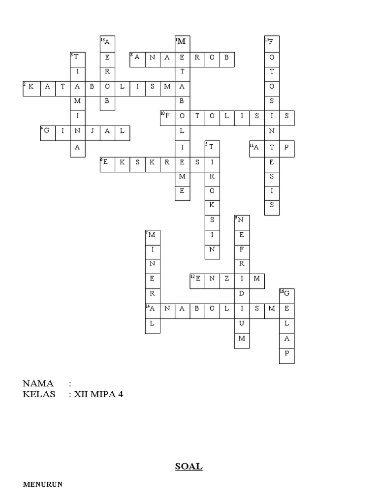 Tugas TTS Diva | PDF