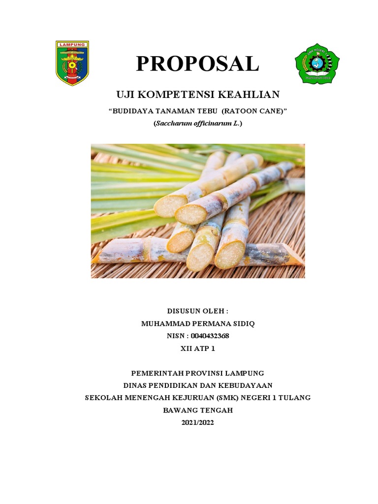 BUDIDAYA RATOON TEBU | PDF