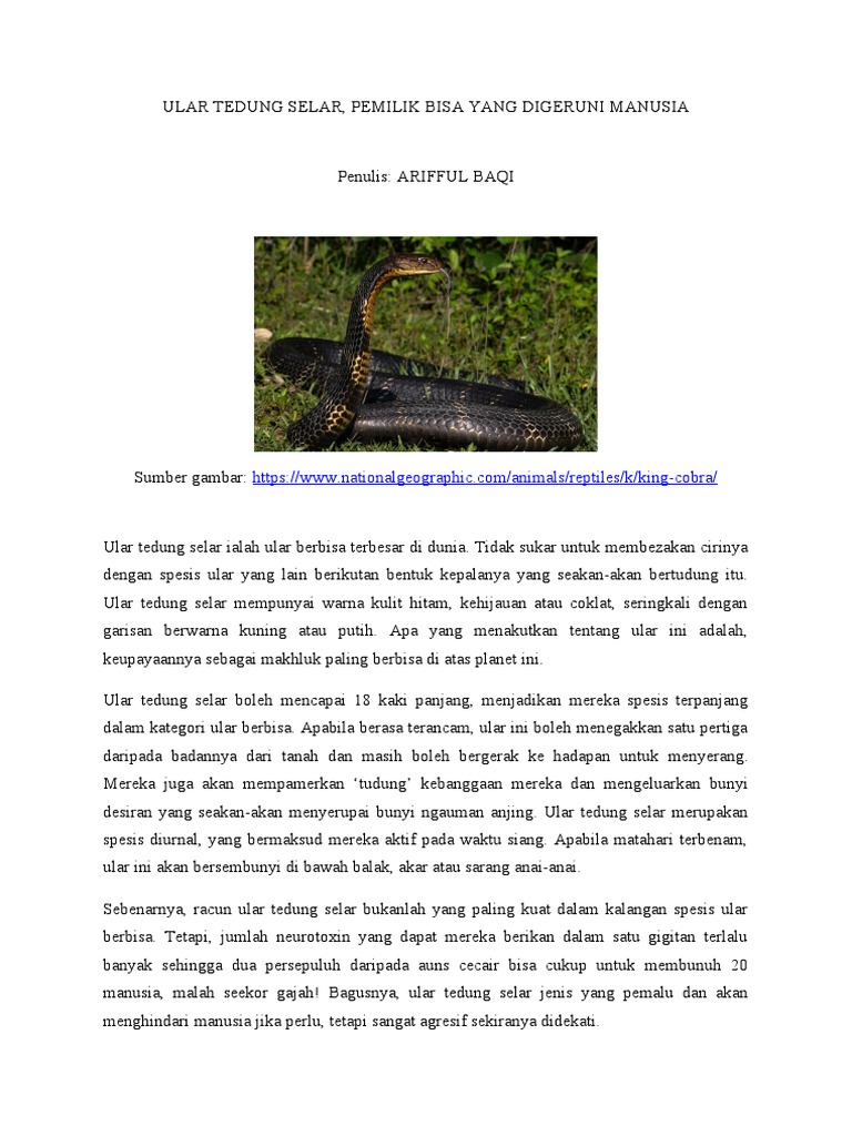 Ular Tedung Selar | PDF