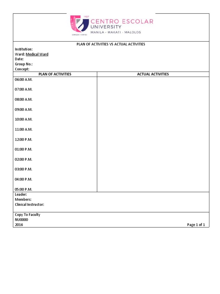 Plan of Activities and Student Nurse Patient Info Sheet | PDF | Self ...