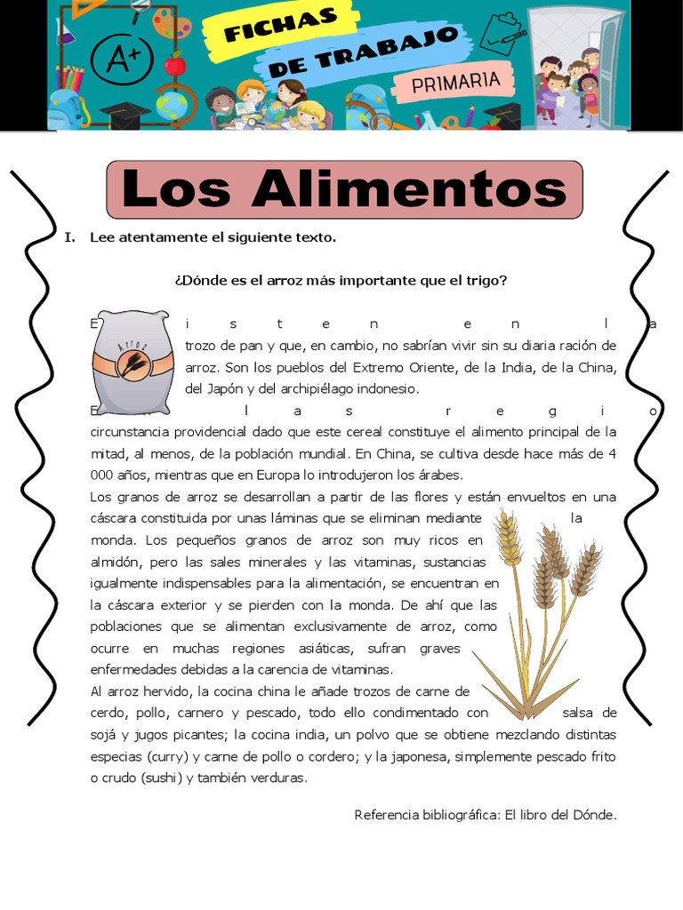 Plan Lector-Comprension Lectora-Grado | PDF | Arroz | Alimentos