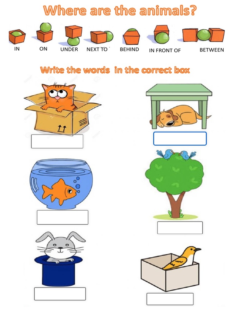 My School - Prepositions and Verbs (Homework) | PDF
